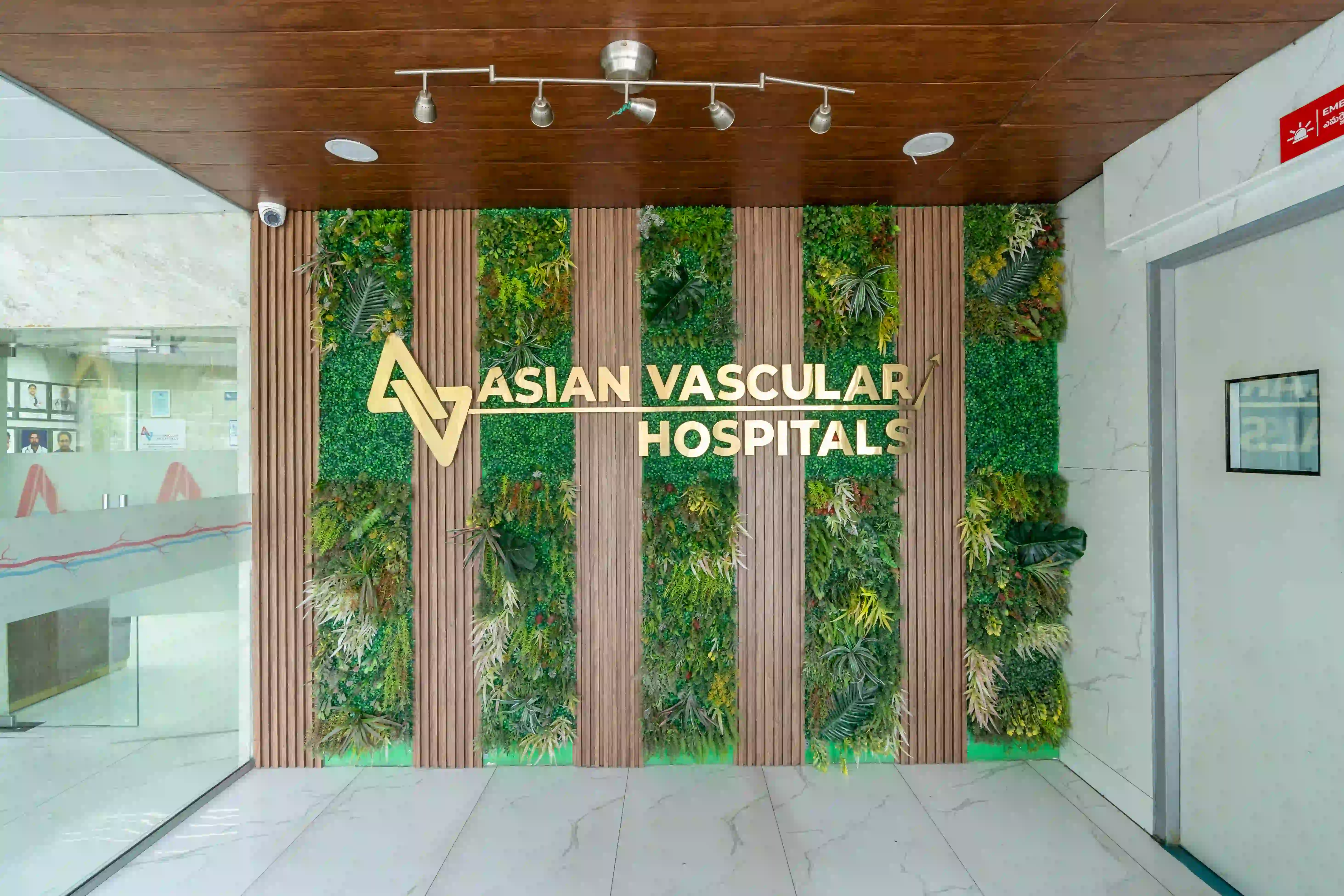 Leading Specialists in Vascular Treatments in India || Asian Vascular ...
